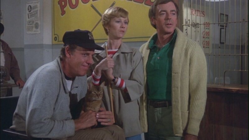 0_95fc5_ded898f6_XL – The Avocado