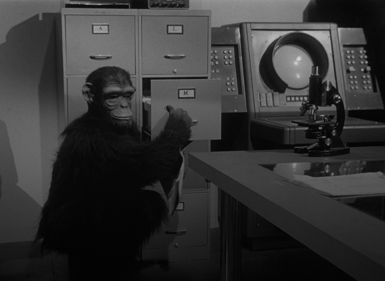 the sixth finger – The Avocado