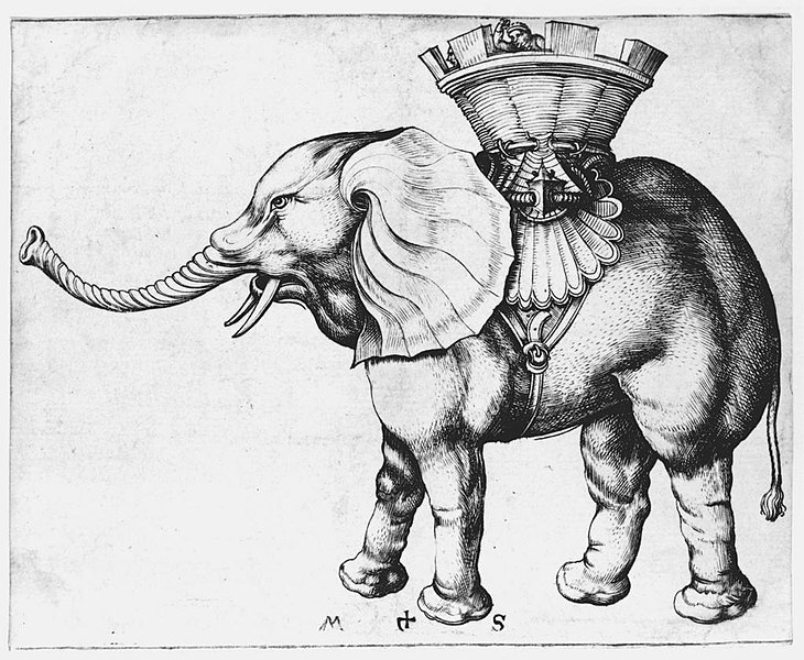 730px-Martin_Schongauer_Elefant – The Avocado